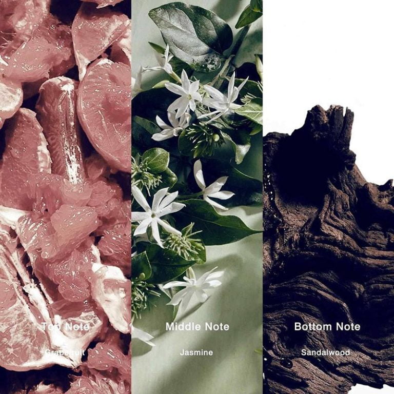 What Are the Best Chinese Perfume Brands? Discover Unique and ...