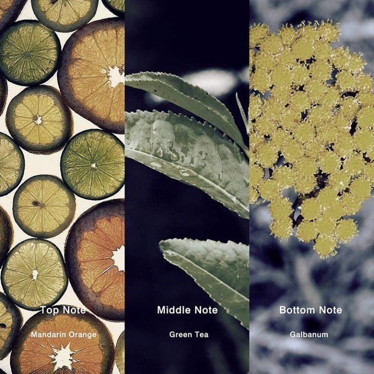 What Is the Best versace perfume dupe for a Similar Scent?