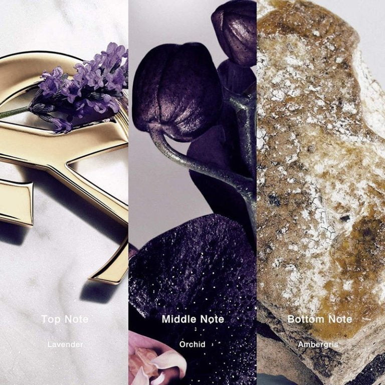 What Are the Best perfumes like cool water? 5 Fresh Alternatives to Try