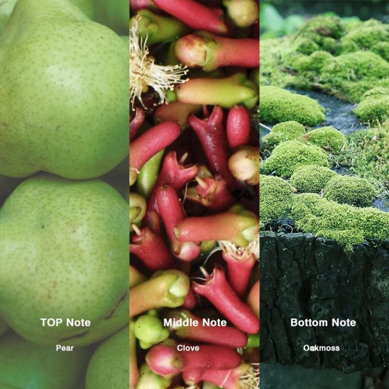 What is the scent profile of creed aventus? Discover its key notes and ...