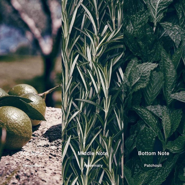 10 Key Notes in giorgio armani si perfume notes