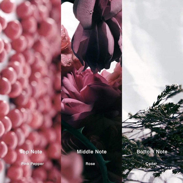 10 Key Notes in giorgio armani si perfume notes