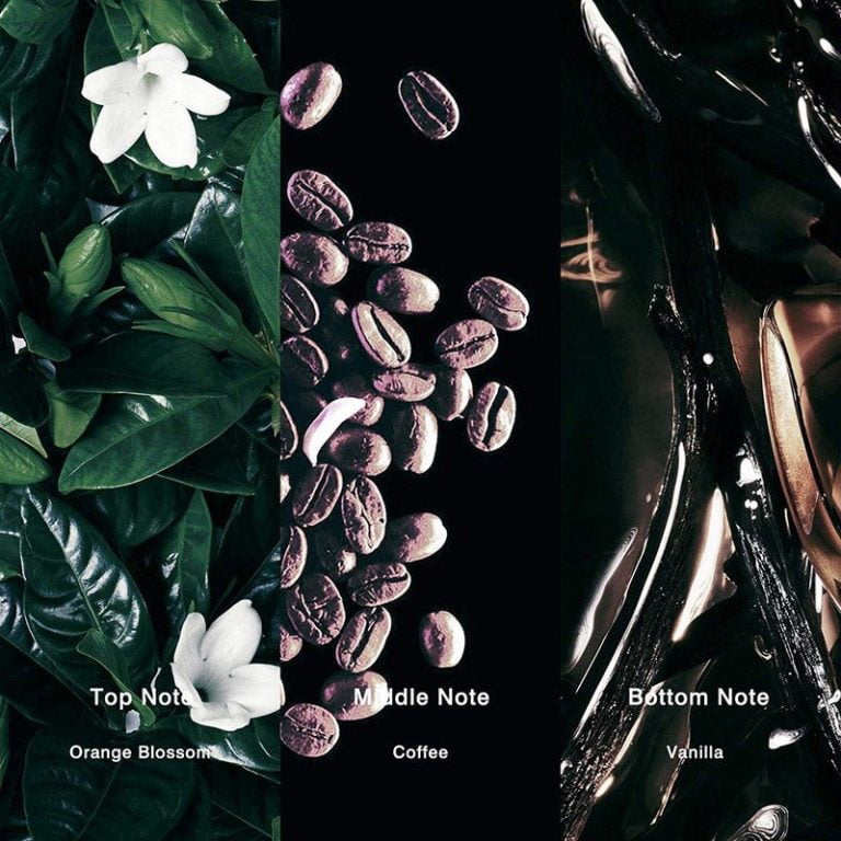 YSL Black Opium Notes: What Are the Key Ingredients Behind This Sensual ...