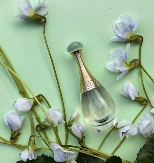 jadore perfume reviews: We Scoured the Internet to Find Out If This ...