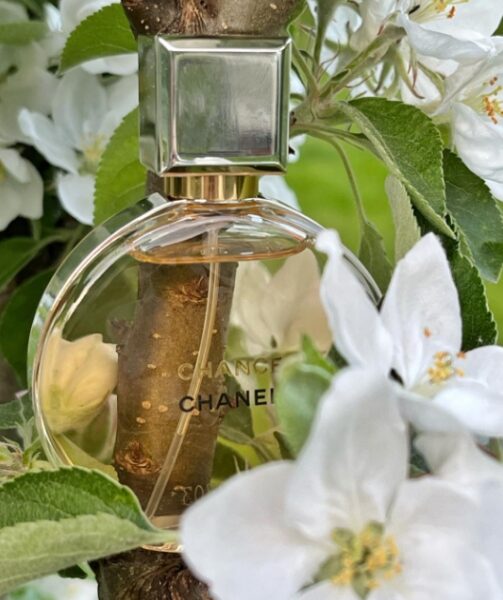 What Are the Chance Chanel Perfume Notes? A Breakdown of This Classic ...