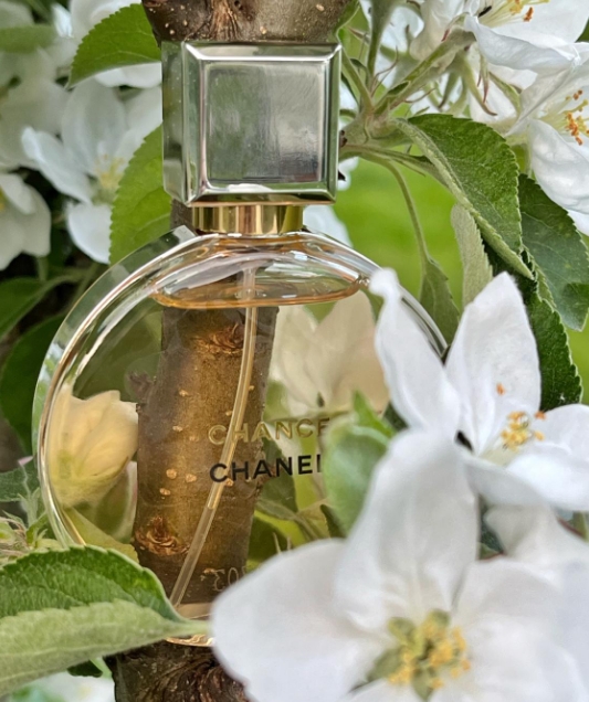 What’s the Best Chanel Chance Eau Fraiche Dupe Out There? We Tried Them ...