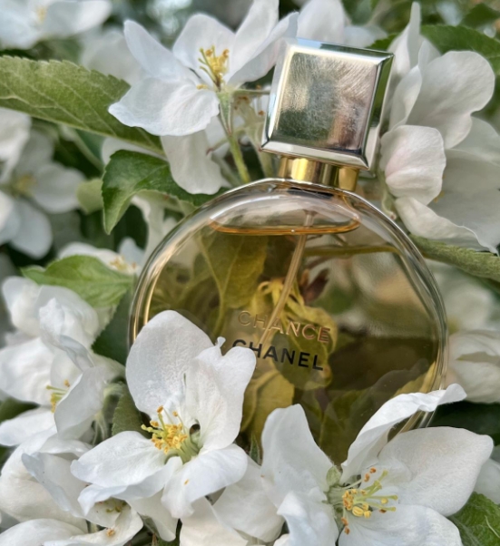 Best Dupe for Chanel Chance: Can You Find a Luxury Scent at a Fraction ...