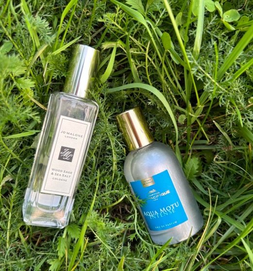 What Makes Summer Sun Perfume Next So Popular? Find Out the Secret ...