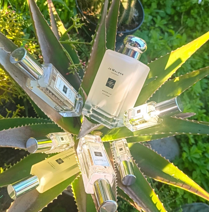 What Are The Best Perfume Like Jo Malone Options? Discover 5 Affordable ...