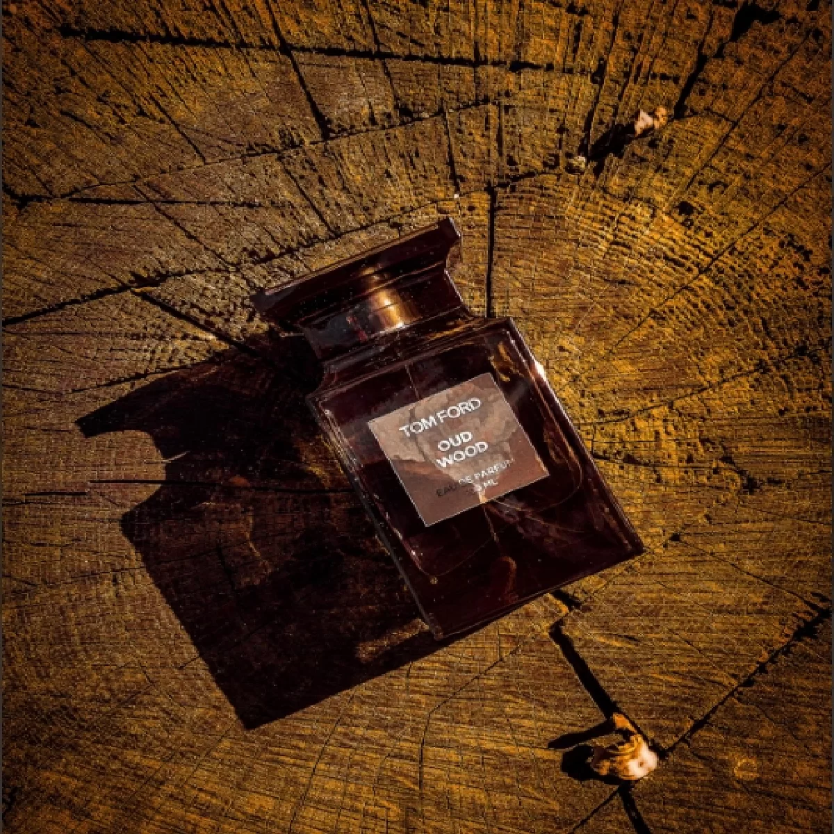 Can I Bring Cologne on a Plane? Here’s What the TSA Says - Imixx Perfumes